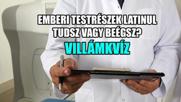 Emberi testrészek latinul - Tudsz vagy beégsz? VILLÁMKVÍZ