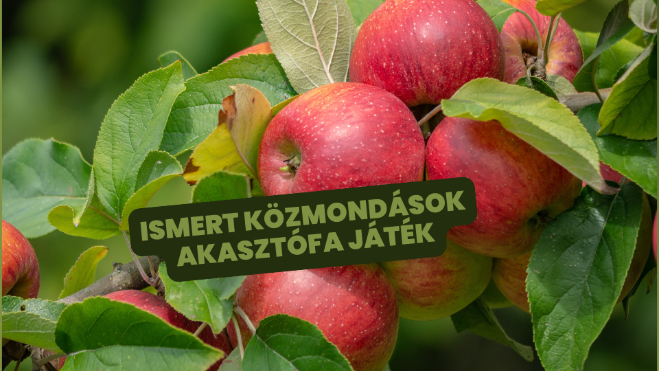 Ismert közmondások AKASZTÓFA JÁTÉK - Kvízprofesszor